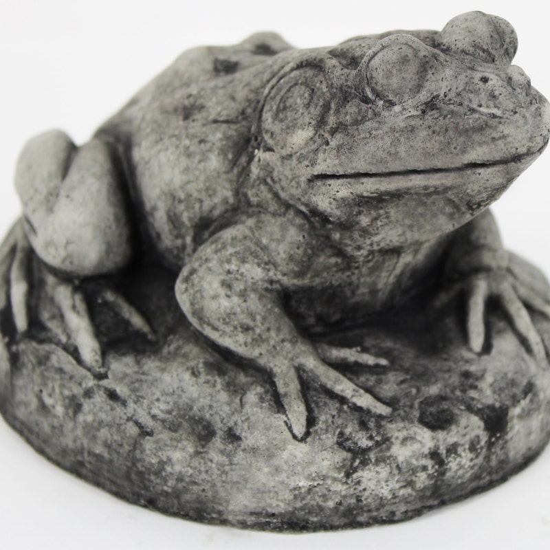 Concrete Toad - Etsy