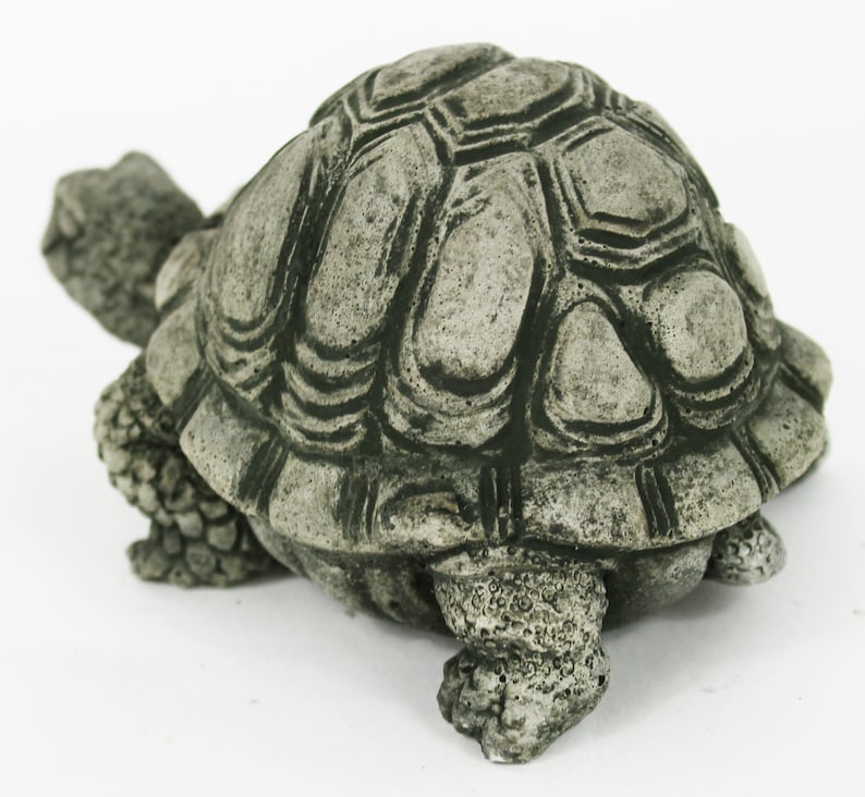 Small Turtle Concrete Garden Statue Cement Turtles Figure Cast | Etsy