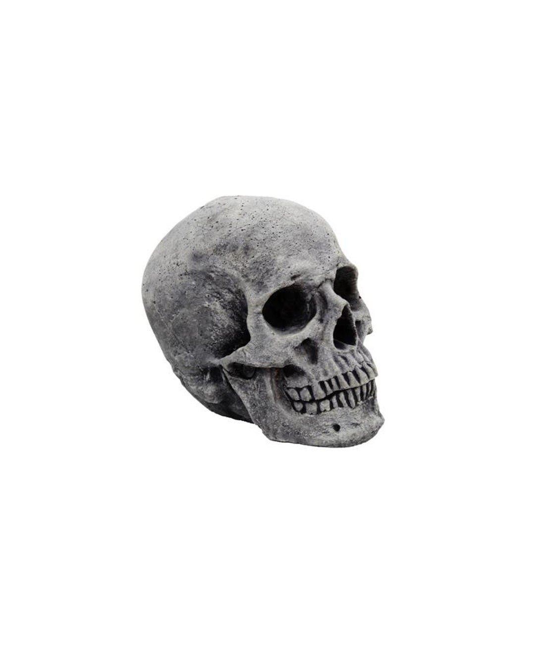 Skull Head Concrete Garden Statue Cement Figurine Cast Stone Skull ...
