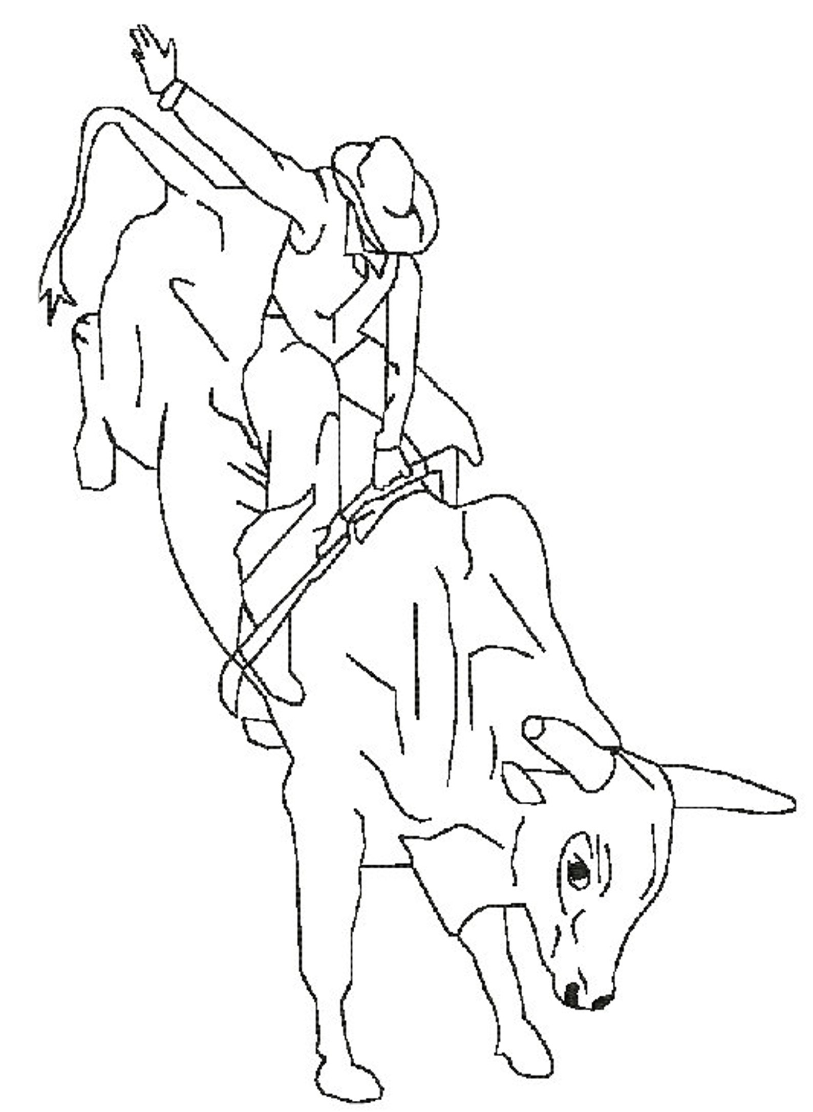 Bucking Bull Embroidery Design 4 Sizes 8 - Etsy