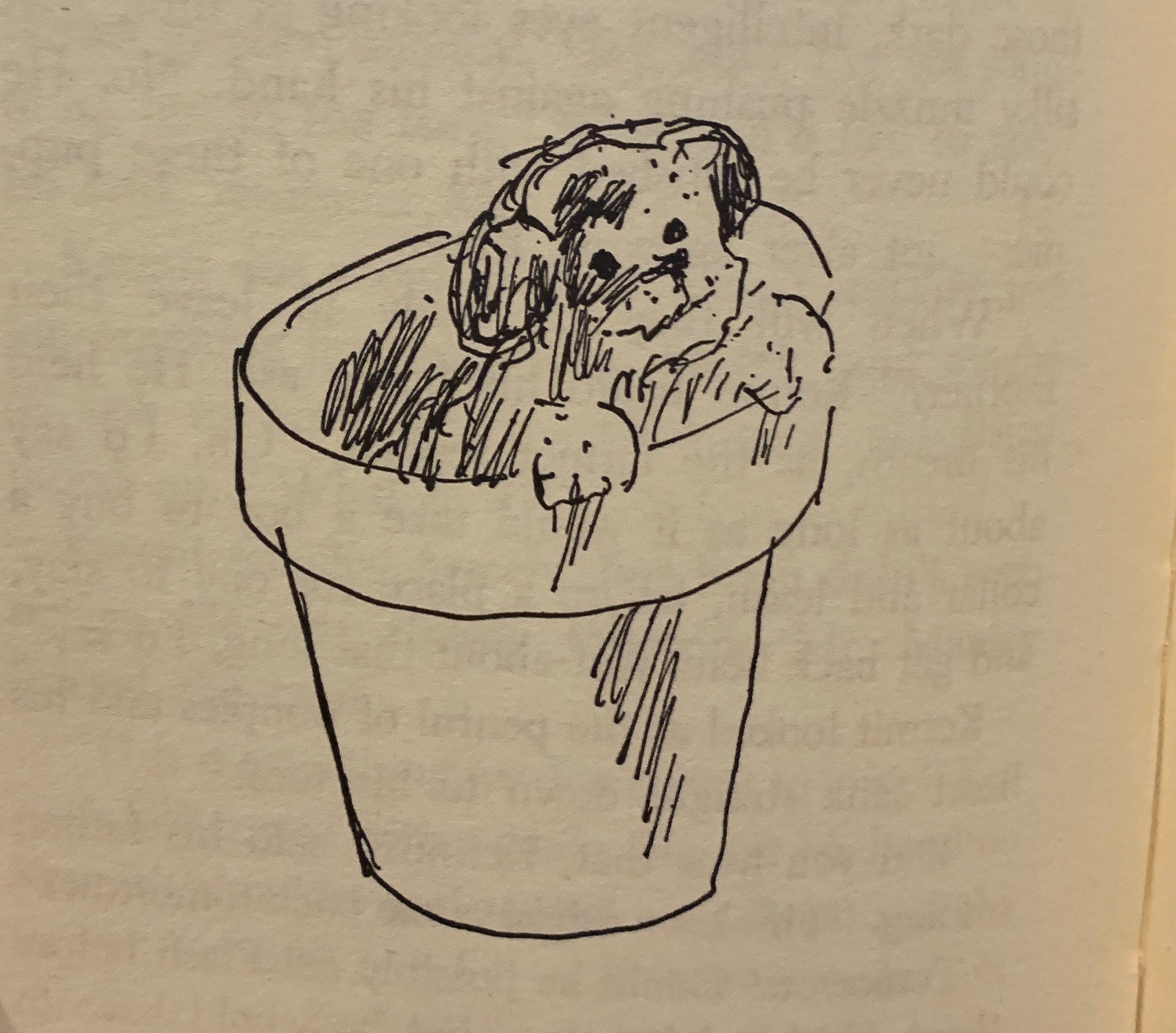 The Mysterious Bender Bones, by Susan Meyers, 1970 HB - Etsy