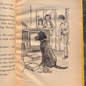 Mishmash and the Big Fat Problem, by Molly Cone, Illustrations by ...