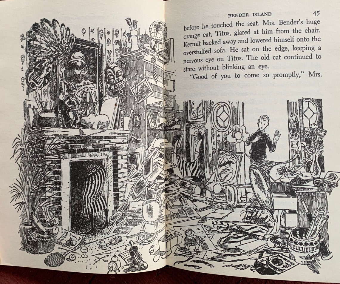 The Mysterious Bender Bones by Susan Meyers 1970 HB - Etsy