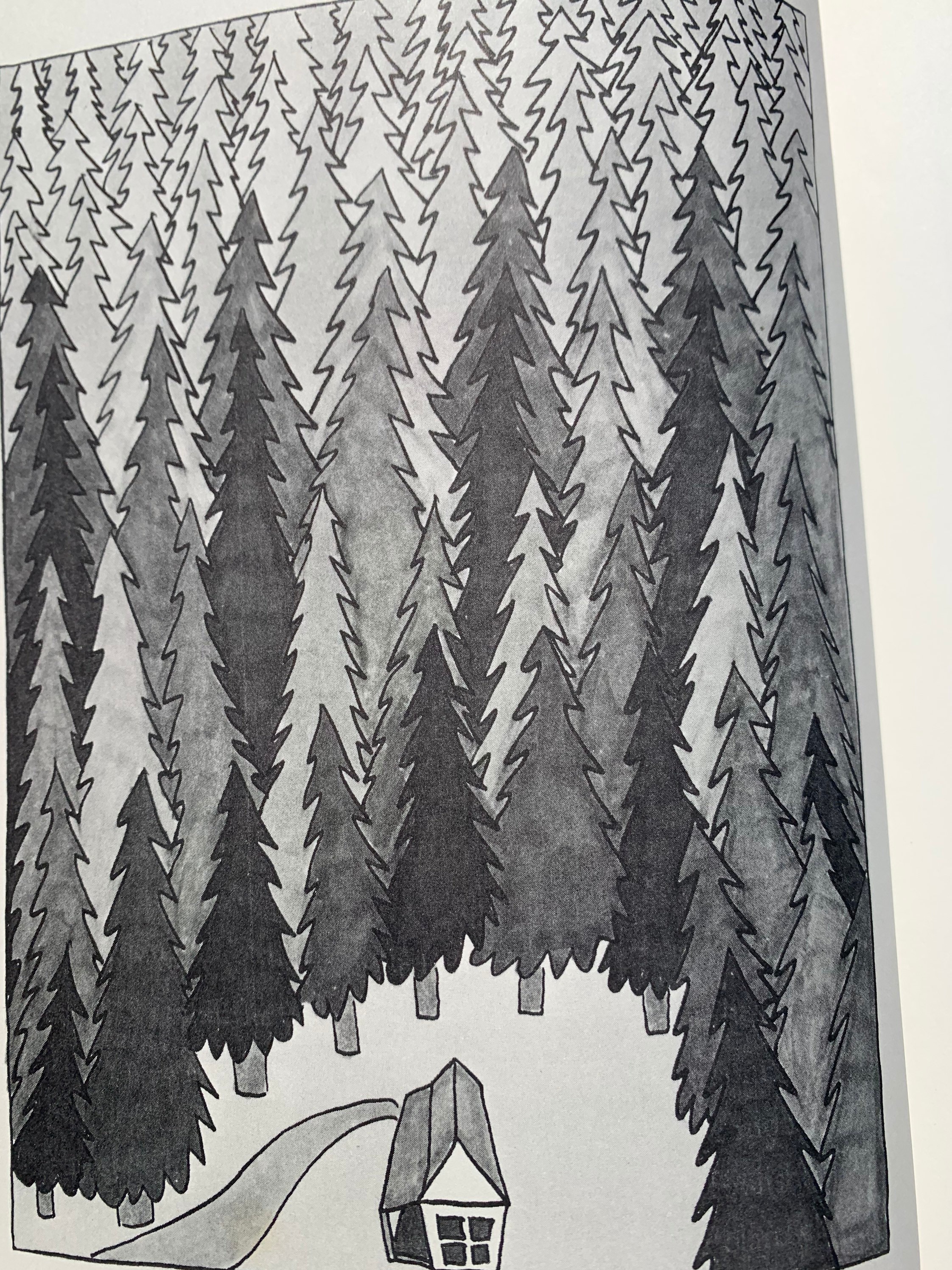 Blue Moose by Manus Pinkwater HB 1975 Weekly Reader - Etsy