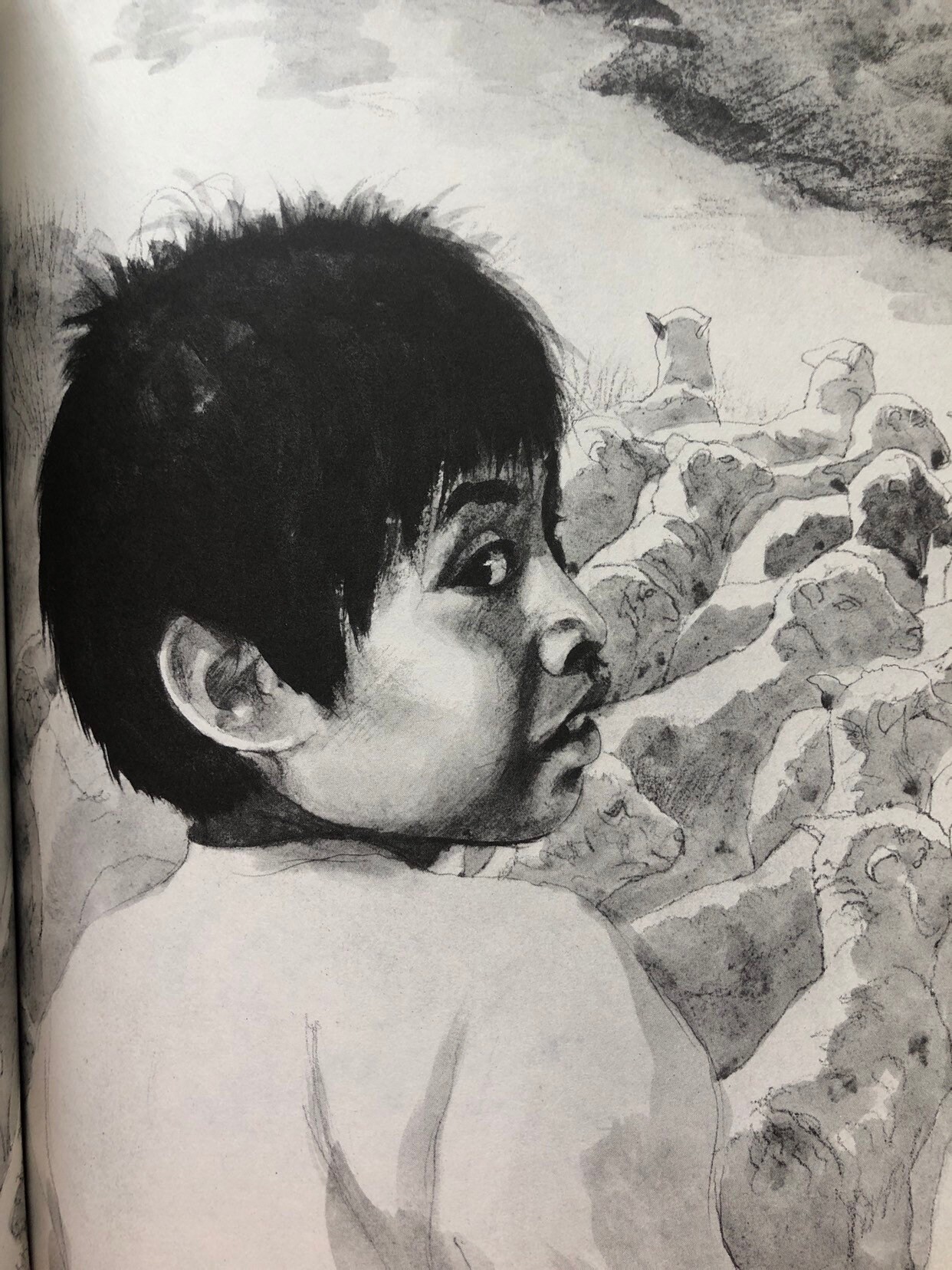 Coyote Cry, by Byrd Baylor, HB, 1972 - Etsy