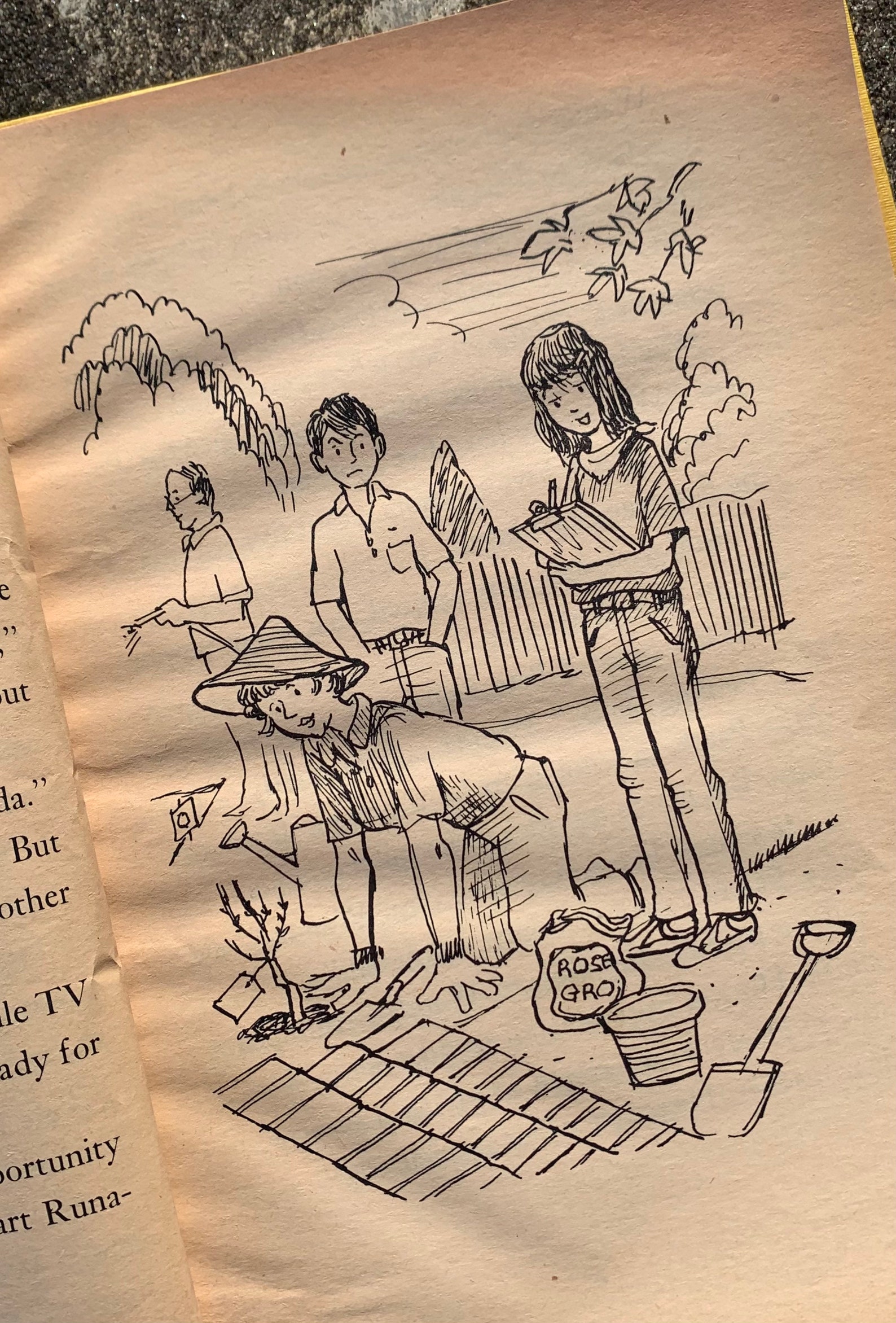 Mishmash and the Big Fat Problem, by Molly Cone, Illustrations by ...