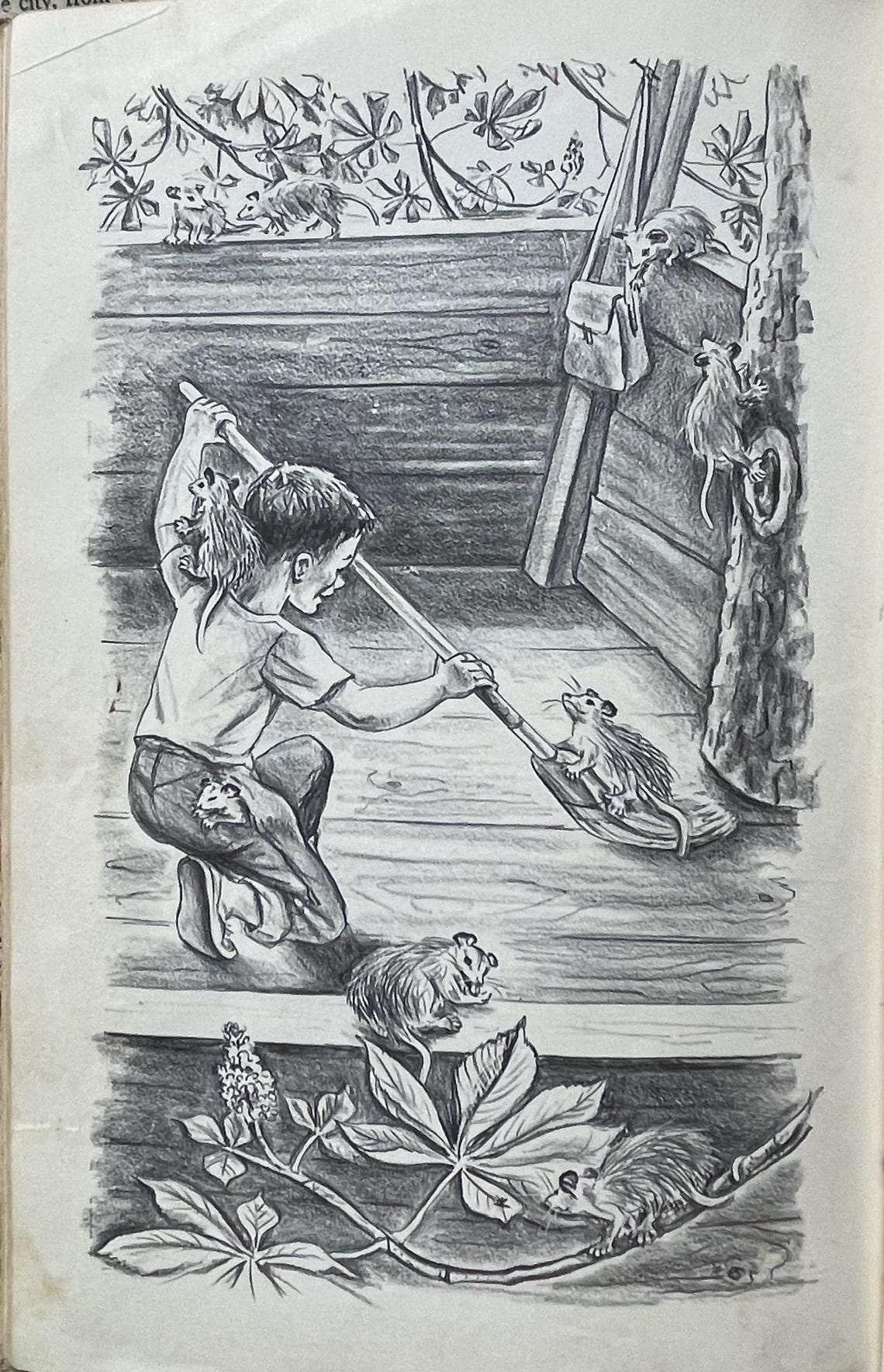 Whose Tree House? Written and Illustrated by Jane Castle, HB 1963 - Etsy