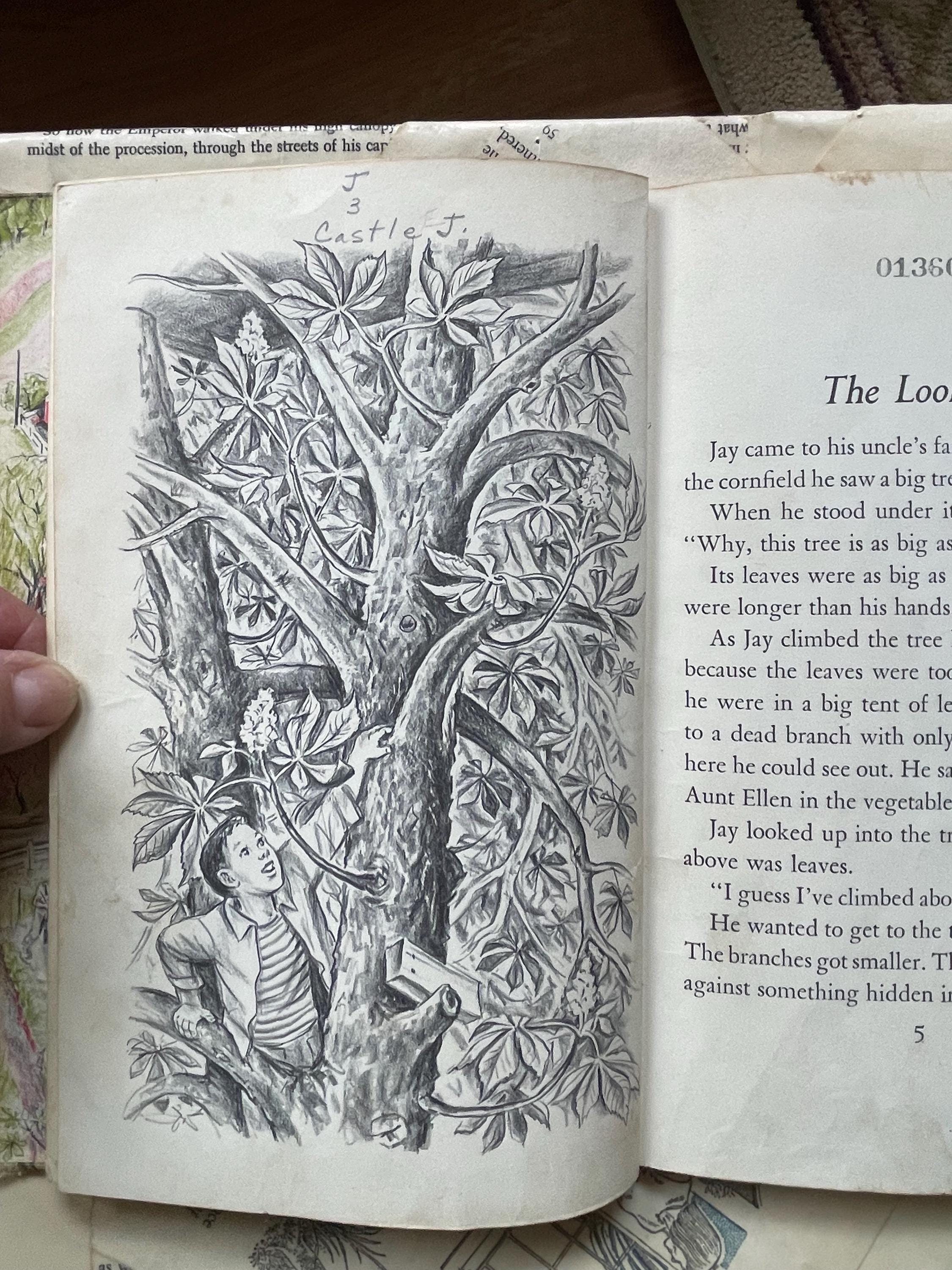 Whose Tree House? Written and Illustrated by Jane Castle, HB 1963 - Etsy