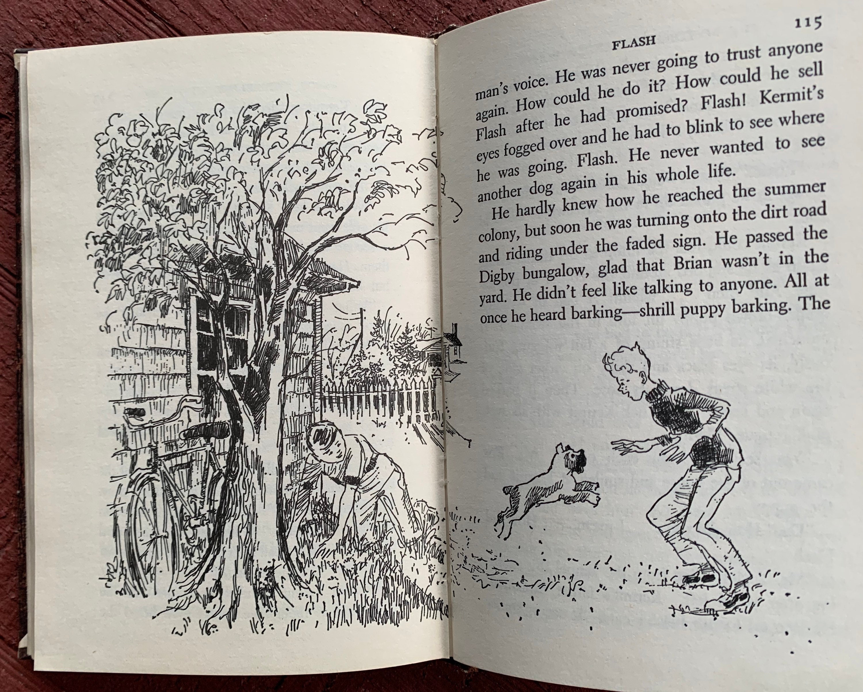 The Mysterious Bender Bones, by Susan Meyers, 1970 HB - Etsy