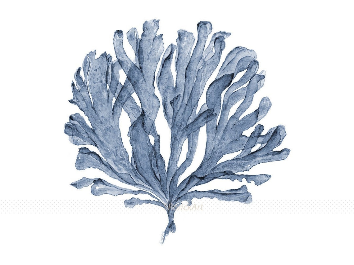 Sea Fan Wall Art Set of Two Prints 5x5 Inches Square Blue - Etsy