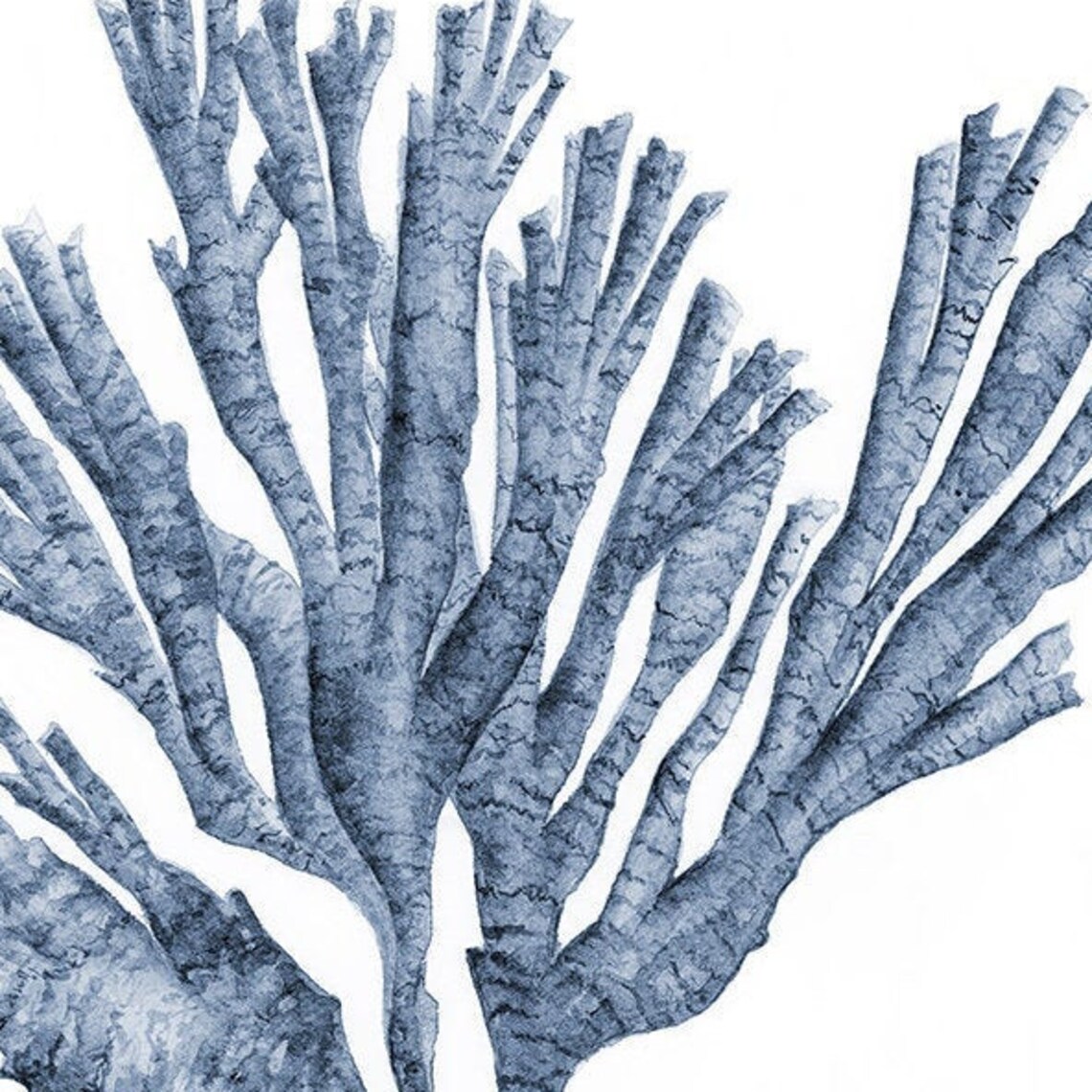 Botanical Art Print of Blue Sea Fan Watercolor Painting, Classic Beach ...
