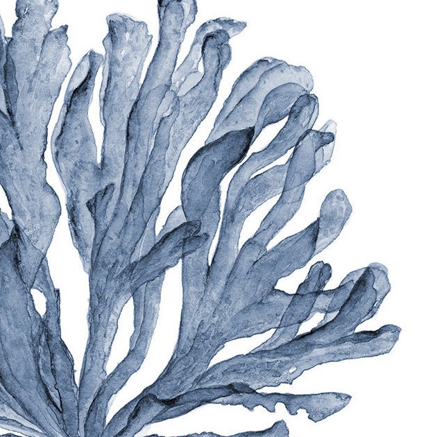 Coral Wall Art Print, Sea Fan Wall Decor, Classic Nautical Watercolor ...