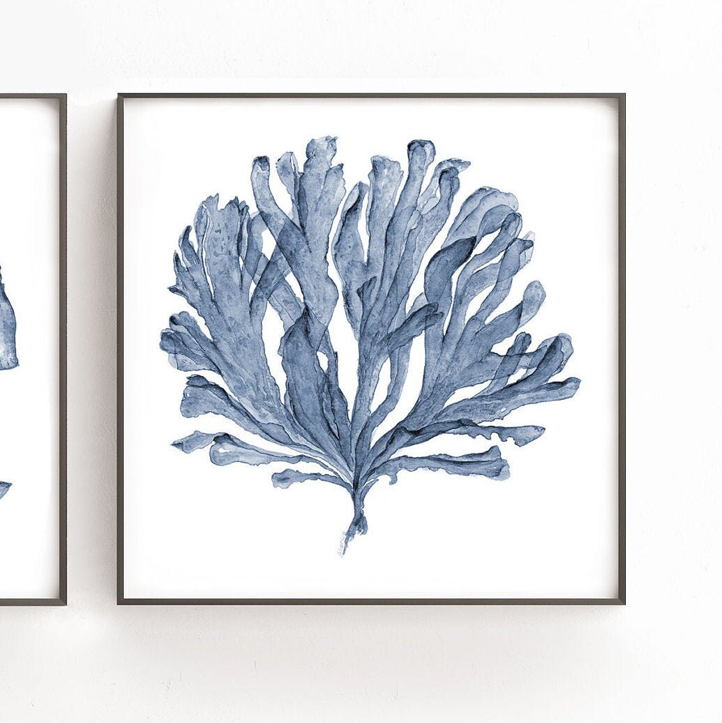 Botanical Print Set of 3 Blue Sea Fan Watercolor Prints, Square Format ...