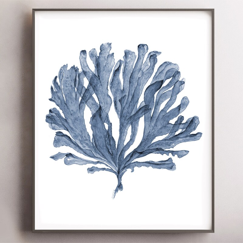 Sea Fan Wall Art - Etsy