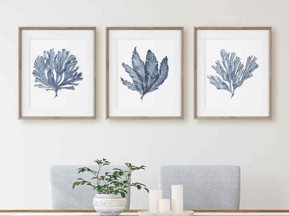 Set of 3 Prints Hamptons Style Artwork Navy Blue Coastal Decor Dining Room Wall Decoration Sea Fan Watercolor Painting Artwork for Walls Etsy