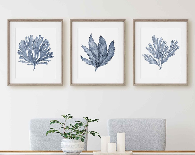 Set of 3 Prints, Hamptons Style Artwork, Navy Blue Coastal Decor ...