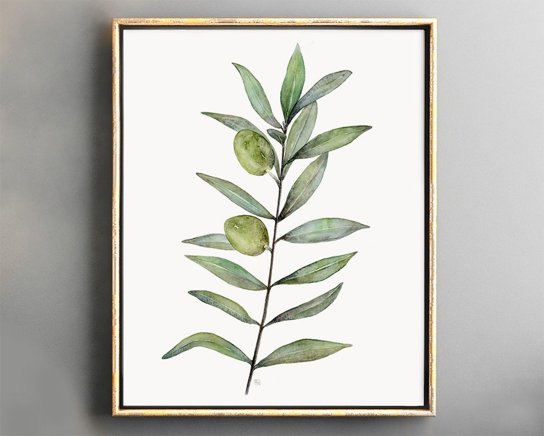 Botanical Print, Olive Leaf Herb Print for Kitchen Wall Decor, Minimal ...