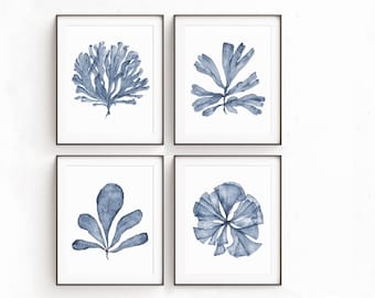 Hamptons Decor Blue Sea Fan Print Set of 4 Prints Navy Blue | Etsy