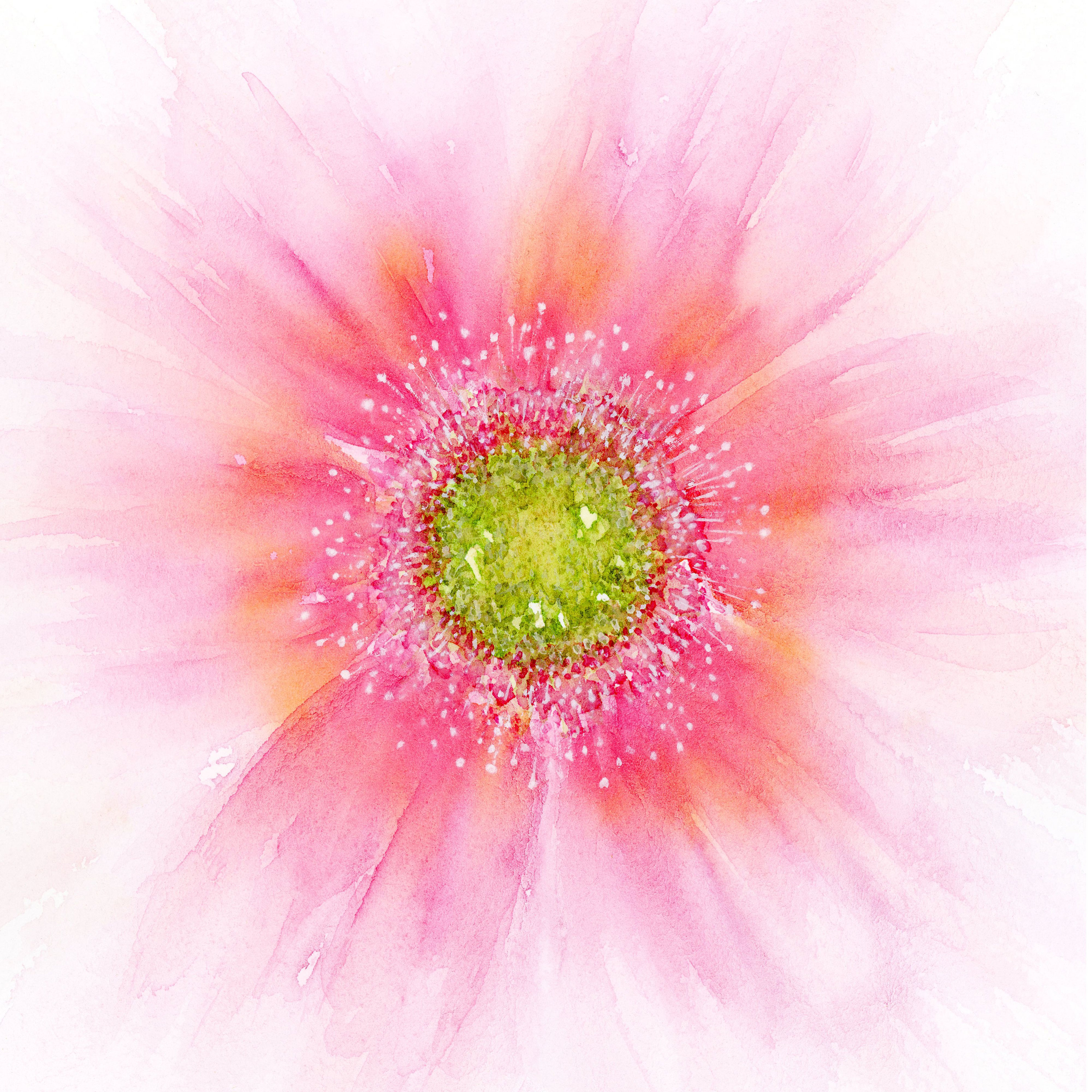 Watercolor Flowers Square Botanical Print Set of 4 Prints of | Etsy