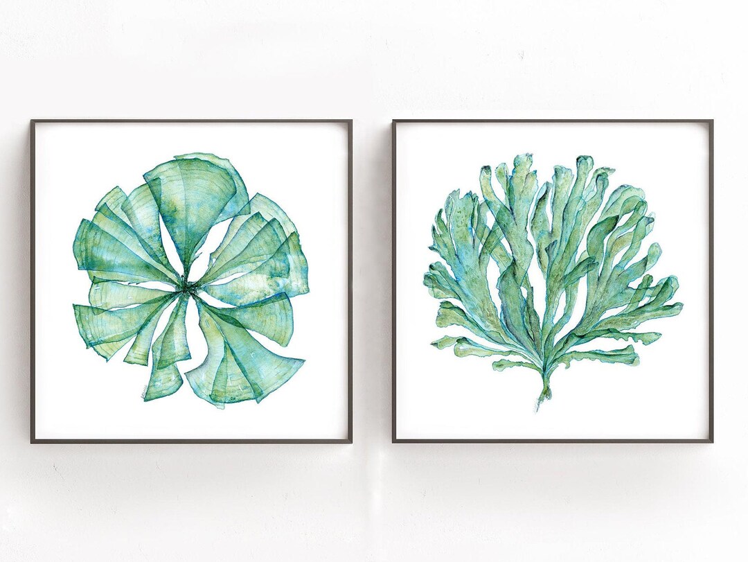 Set of 2 Botanical Prints of Coral Sea Fan Watercolor Paintings, Square ...