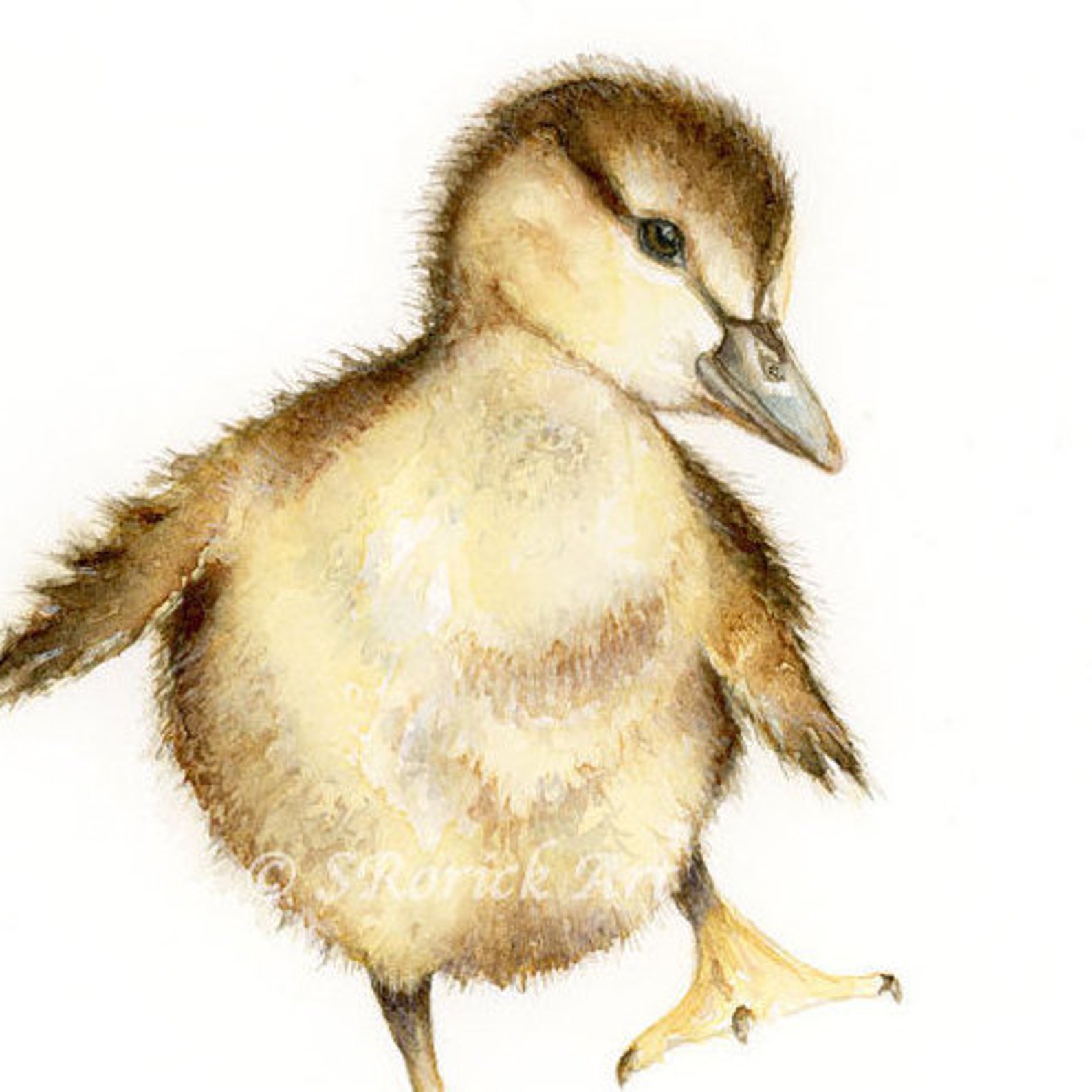 Baby Duck Art Print Watercolor Painting Woodland Nursery - Etsy