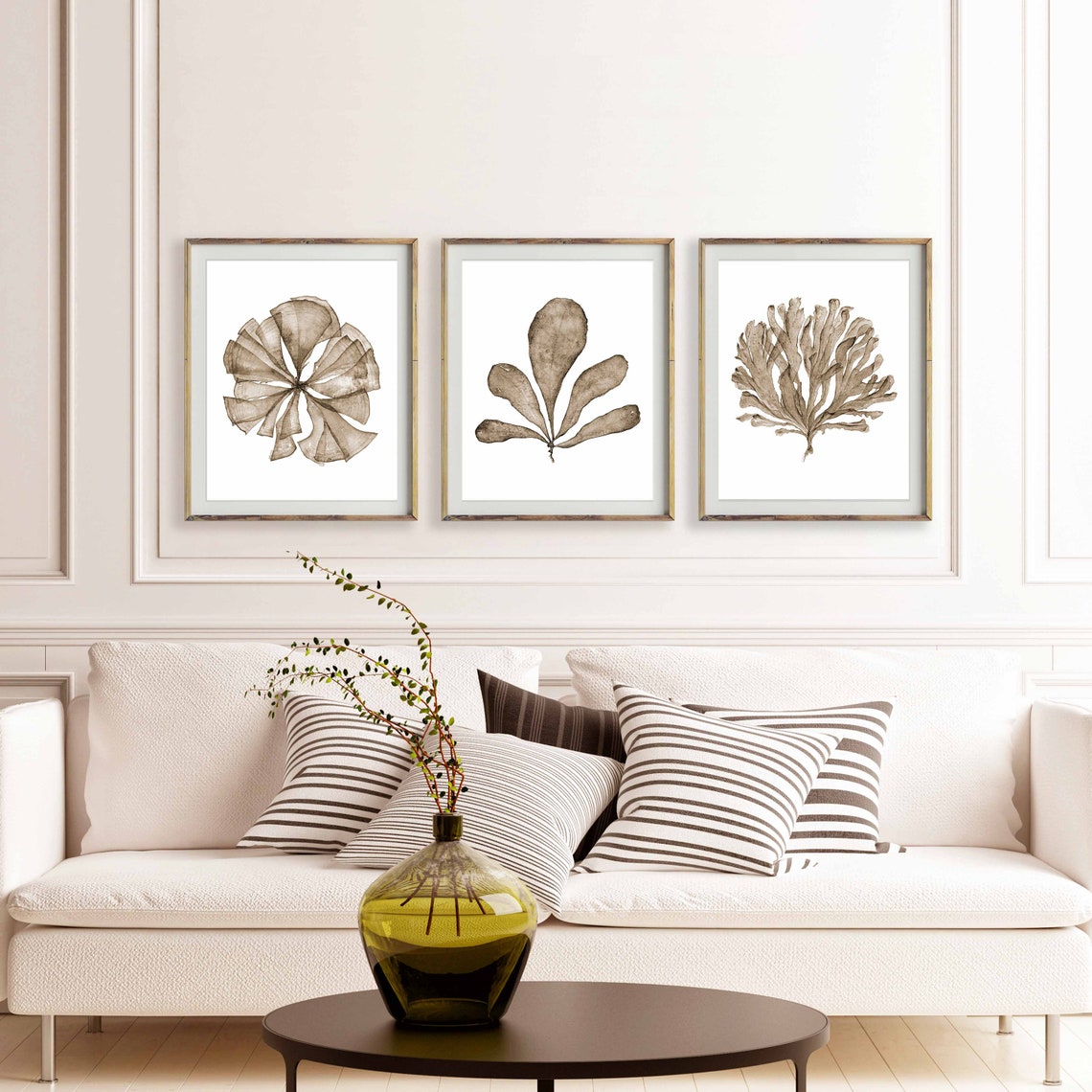 Hamptons Style Art Print Set of 3 Sea Fans, Gallery Wall Set, Living ...