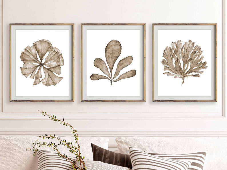 Hamptons Style Art Print Set of 3 Sea Fans, Gallery Wall Set, Living ...