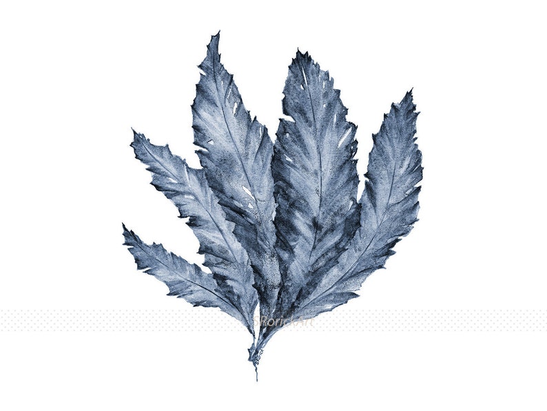 Set of 3 Prints Hamptons Style Artwork Navy Blue Coastal - Etsy