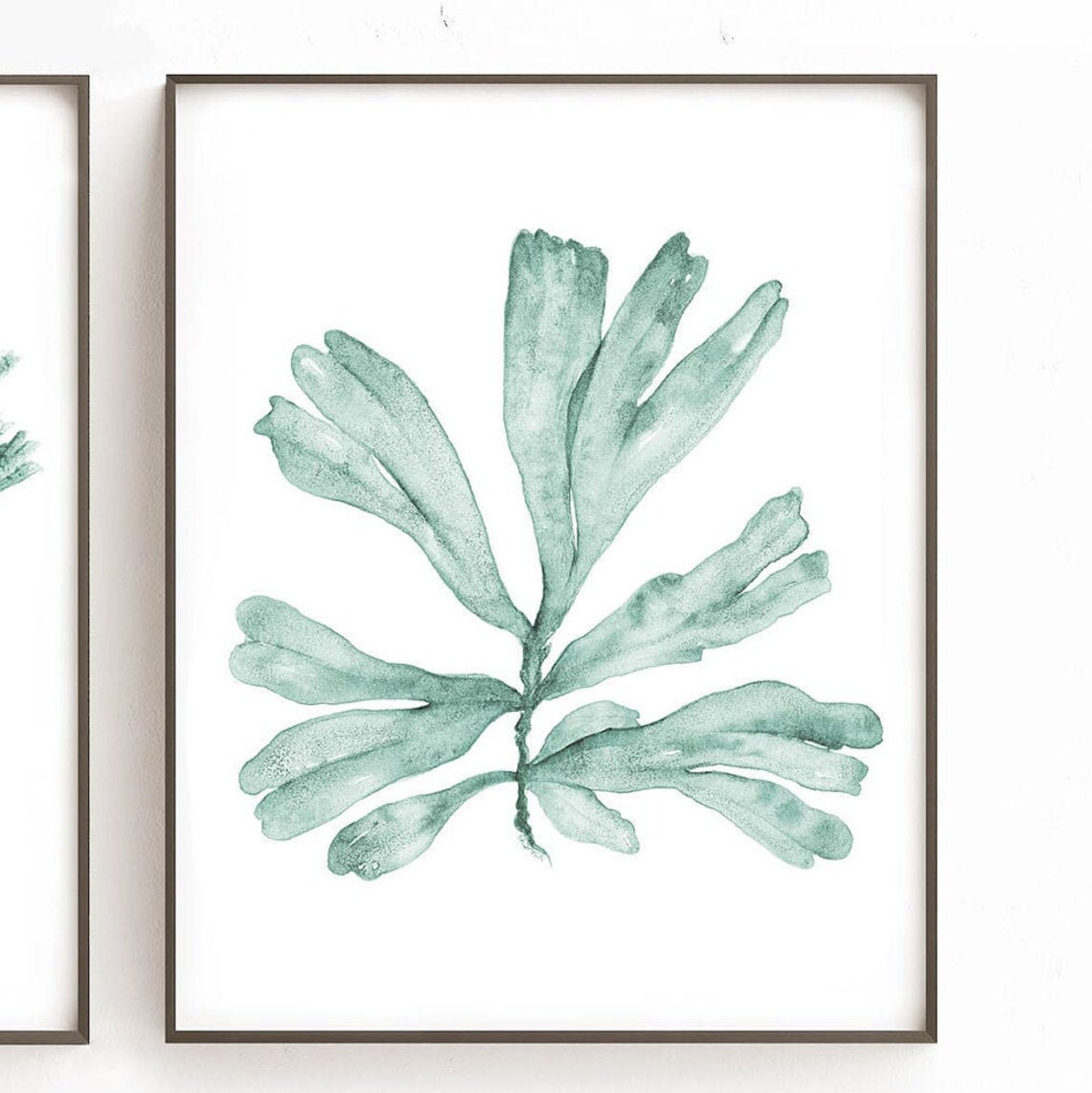 Set of 6 Botanical Prints of Aqua Blue Sea Fan Watercolor Paintings ...