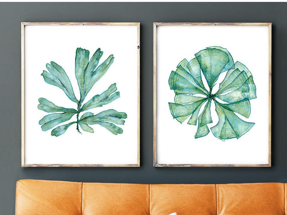 Botanical Print Set of 2 Coral Sea Fan Prints of Watercolor - Etsy