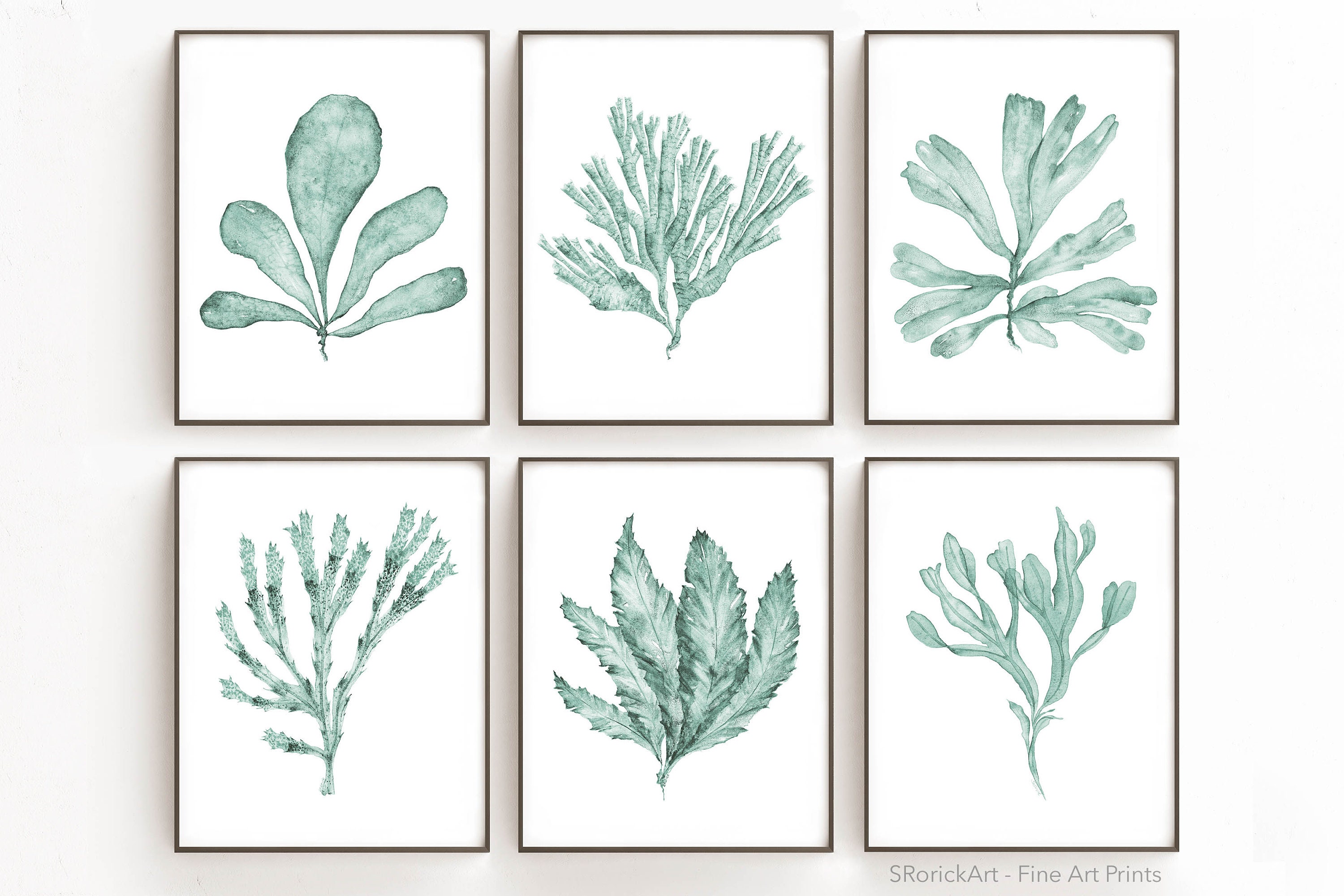 Set of 6 Botanical Prints of Aqua Blue Sea Fan Watercolor Paintings ...