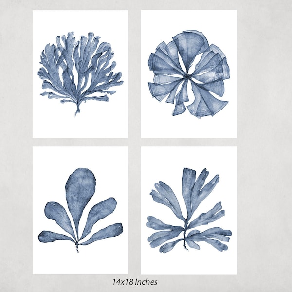 Coral Sea Fan - Etsy