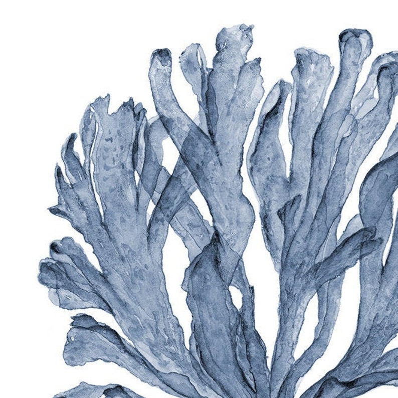 Sea Fan Wall Art Set of Two Prints 5x5 Inches Square Blue - Etsy