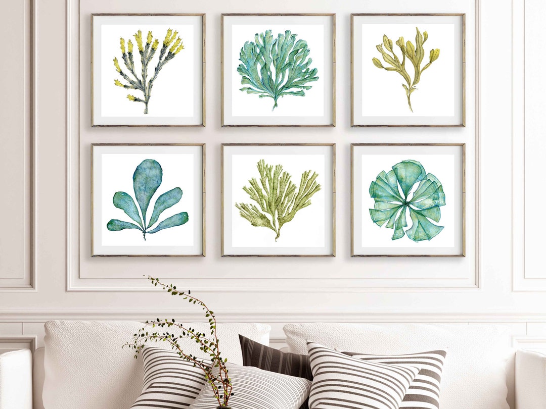 Square Botanical Print Set of 6 Prints of Sea Fan Watercolor Paintings ...