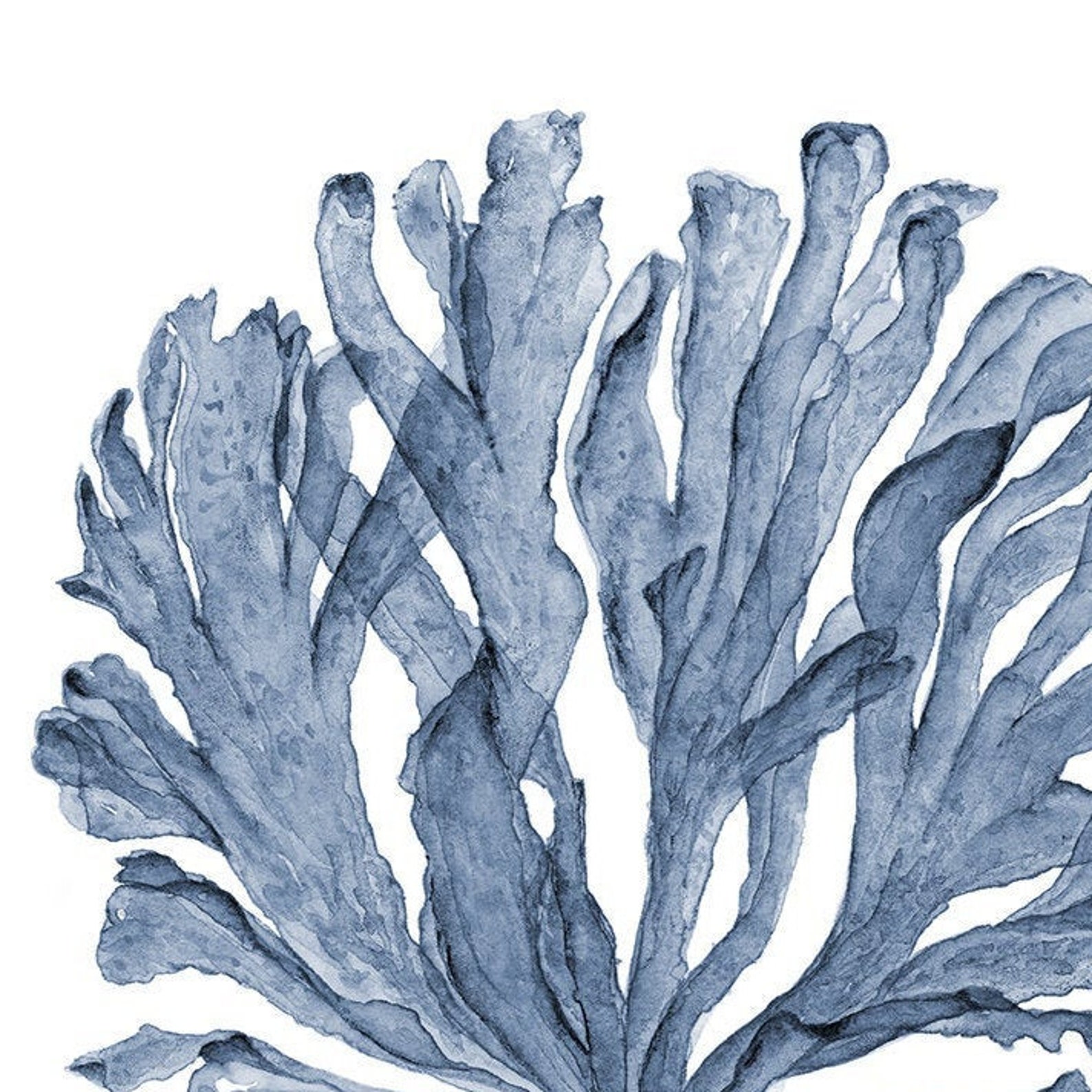 Set of 3 Prints Hamptons Style Artwork Navy Blue Coastal - Etsy