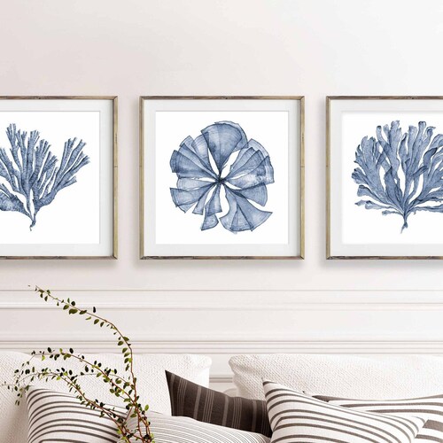 Hamptons Style Print Set of 2 Blue Sea Fans Square Two Piece - Etsy