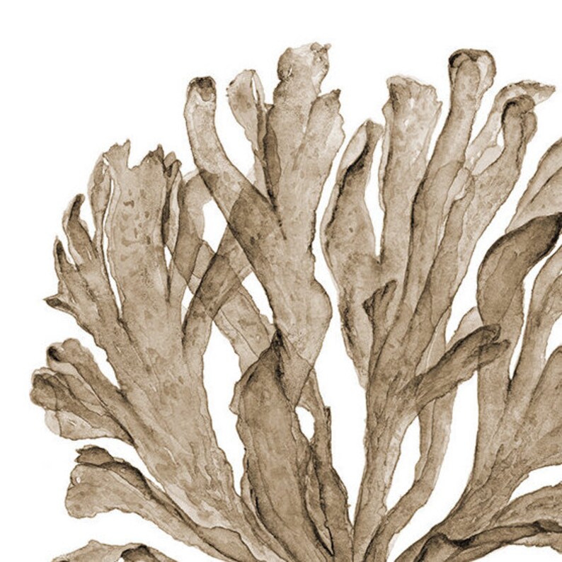 Hampton Style Two Piece Wall Art Square Artwork for Walls - Etsy