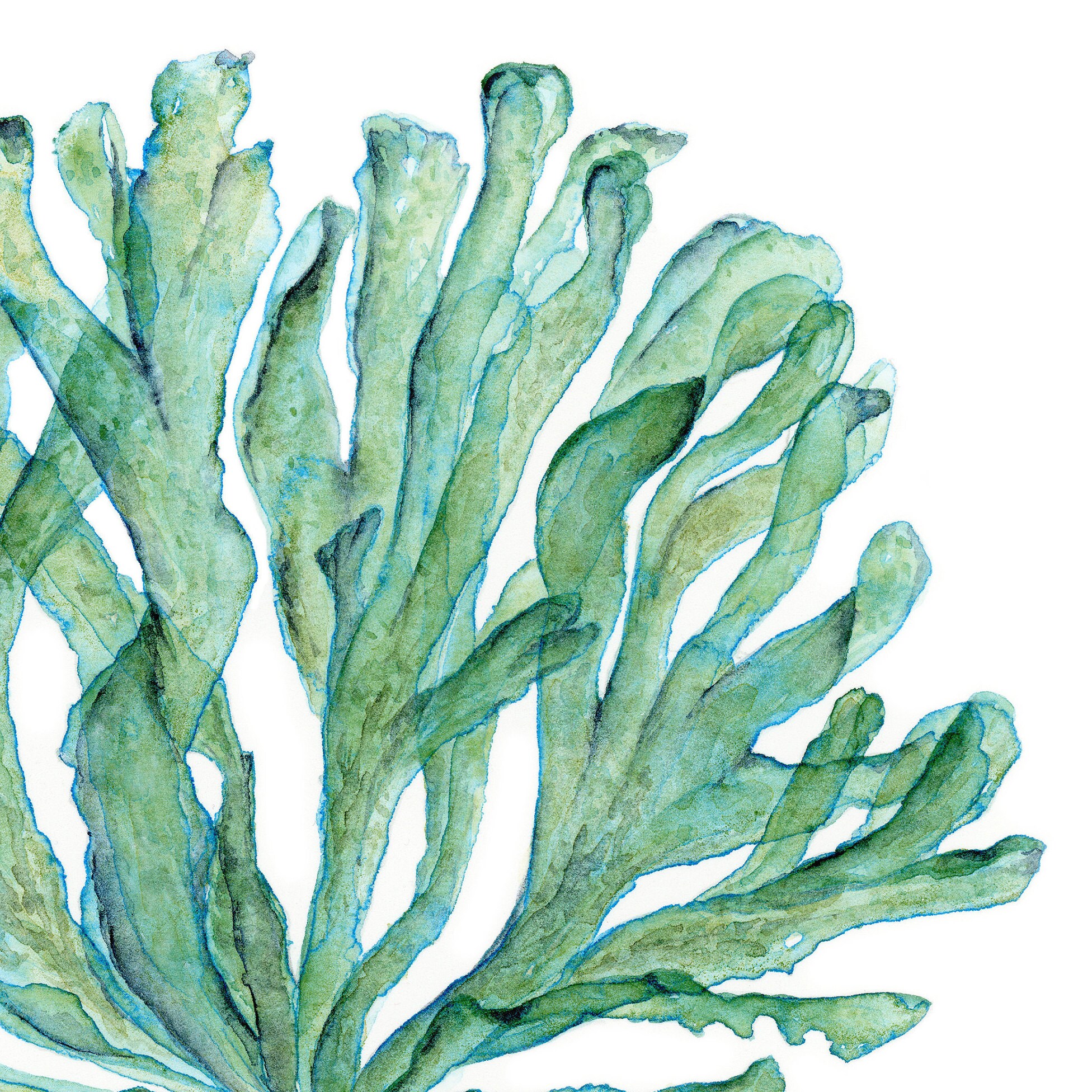 Set of Four Wall Art Prints of Sea Fan Watercolor Paintings - Etsy