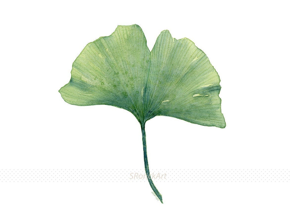 Tropical Wall Art Ginkgo Leaf Print Botanical Print of - Etsy