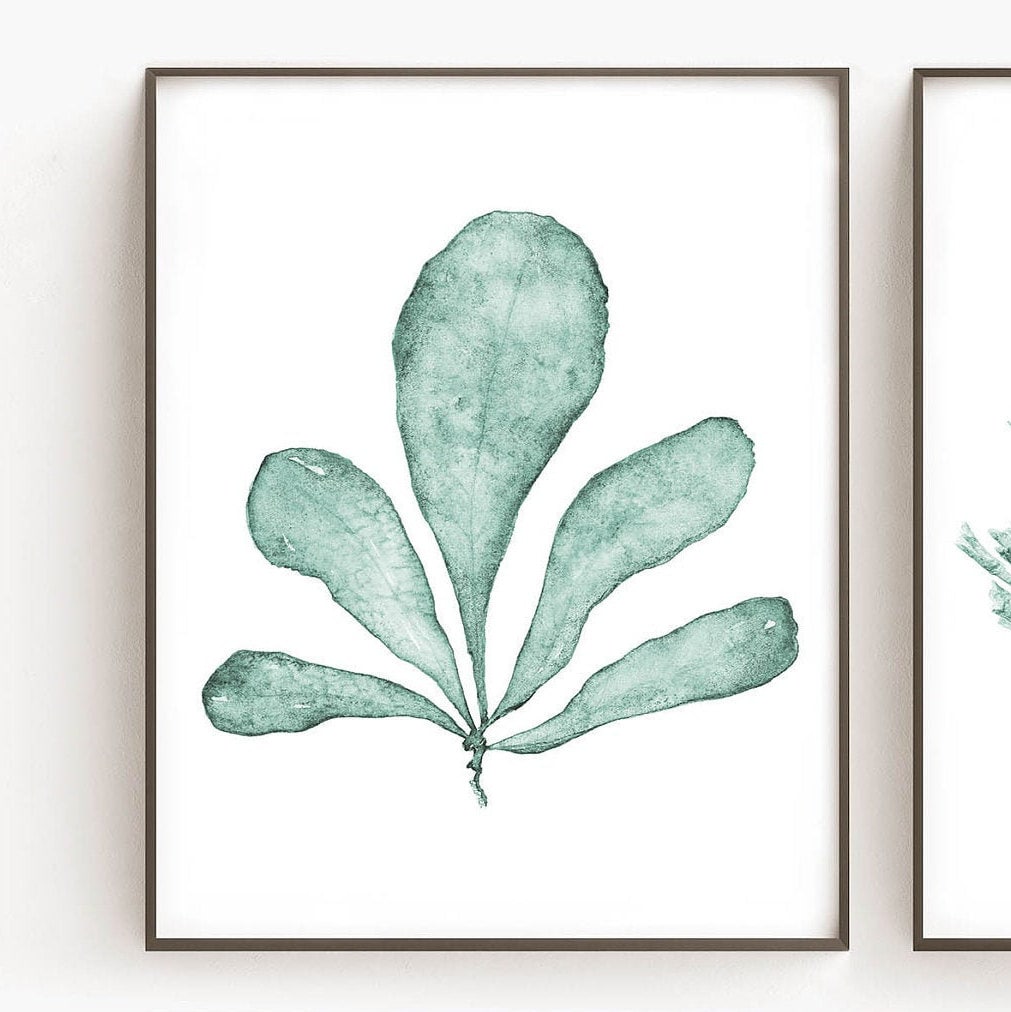 Set of 6 Botanical Prints of Aqua Blue Sea Fan Watercolor Paintings ...