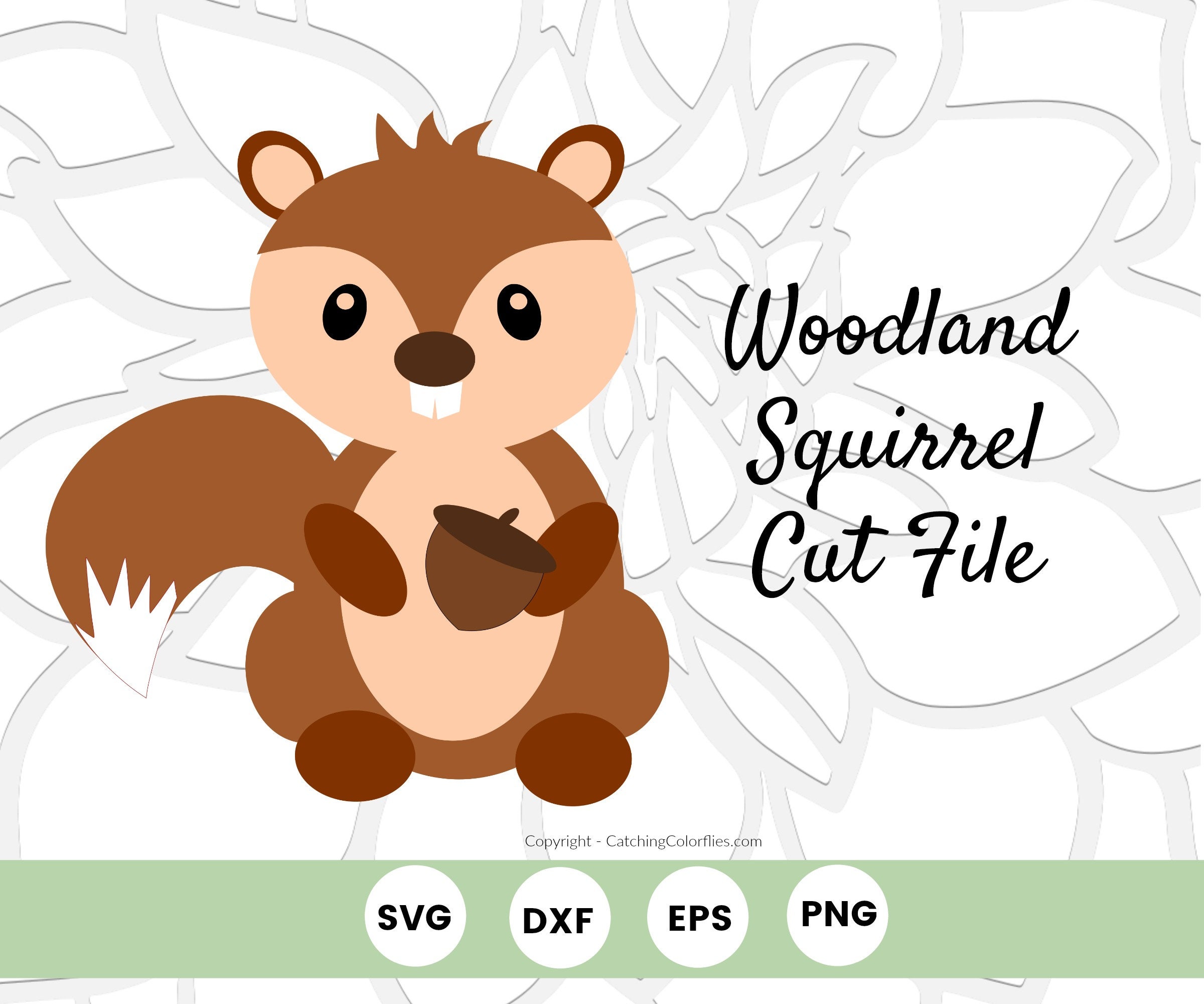 Woodland Squirrel Cut Files Cute Woodland Animals Clip Art - Etsy