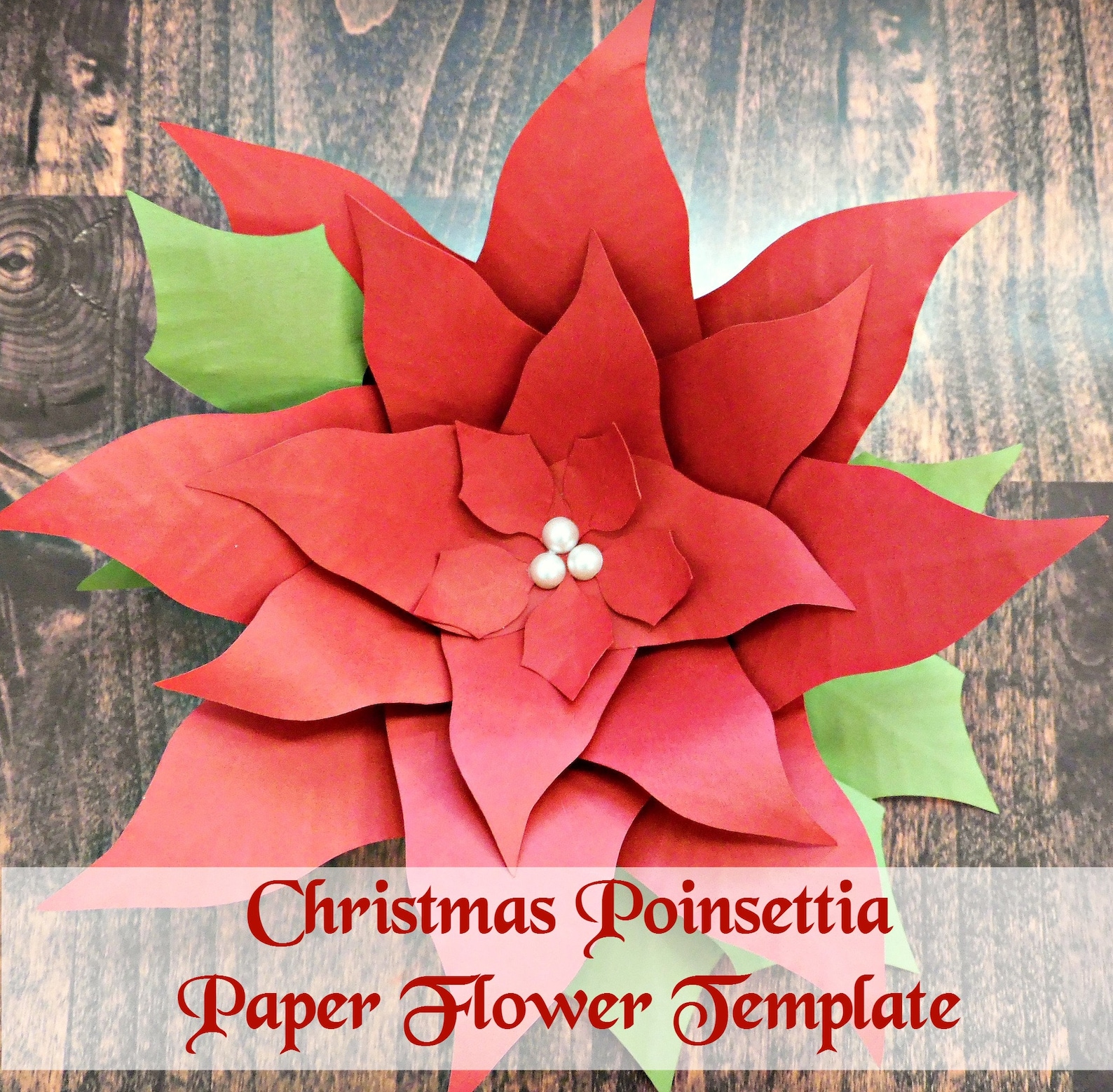 Christmas Paper Poinsettia DIY Flower Templates Small and - Etsy