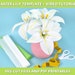 Crepe Paper Easter Lily Template and Tutorial, Lily SVG File, Lily PDF ...
