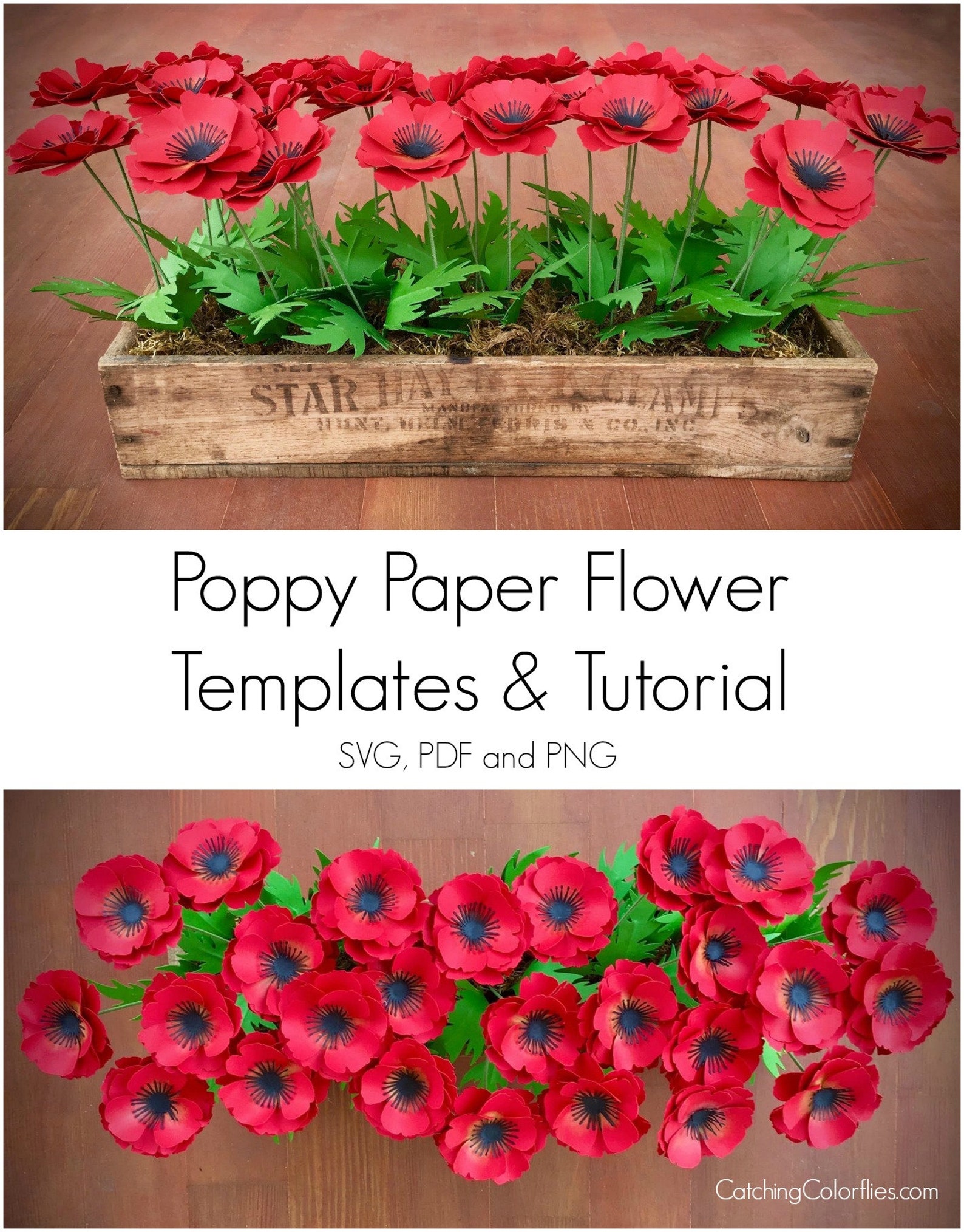 Poppy Paper Flower SVG and PDF Templates DIY Small Paper - Etsy Israel