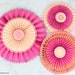 DIY Paper Fan Rosette SVG Flower Templates, Hanging Paper Rosettes ...