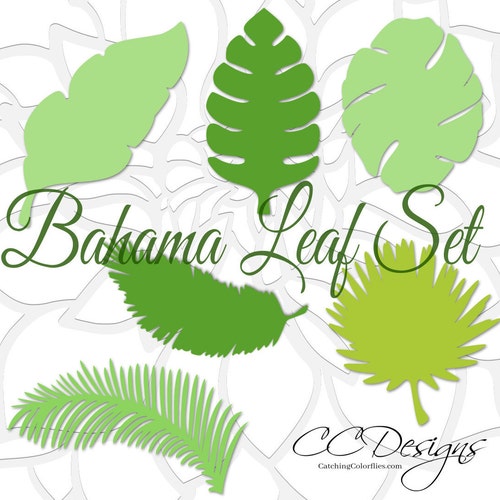 Large Paper Leaf Templates Tropical Leaf SVG Cut Files Large | Etsy