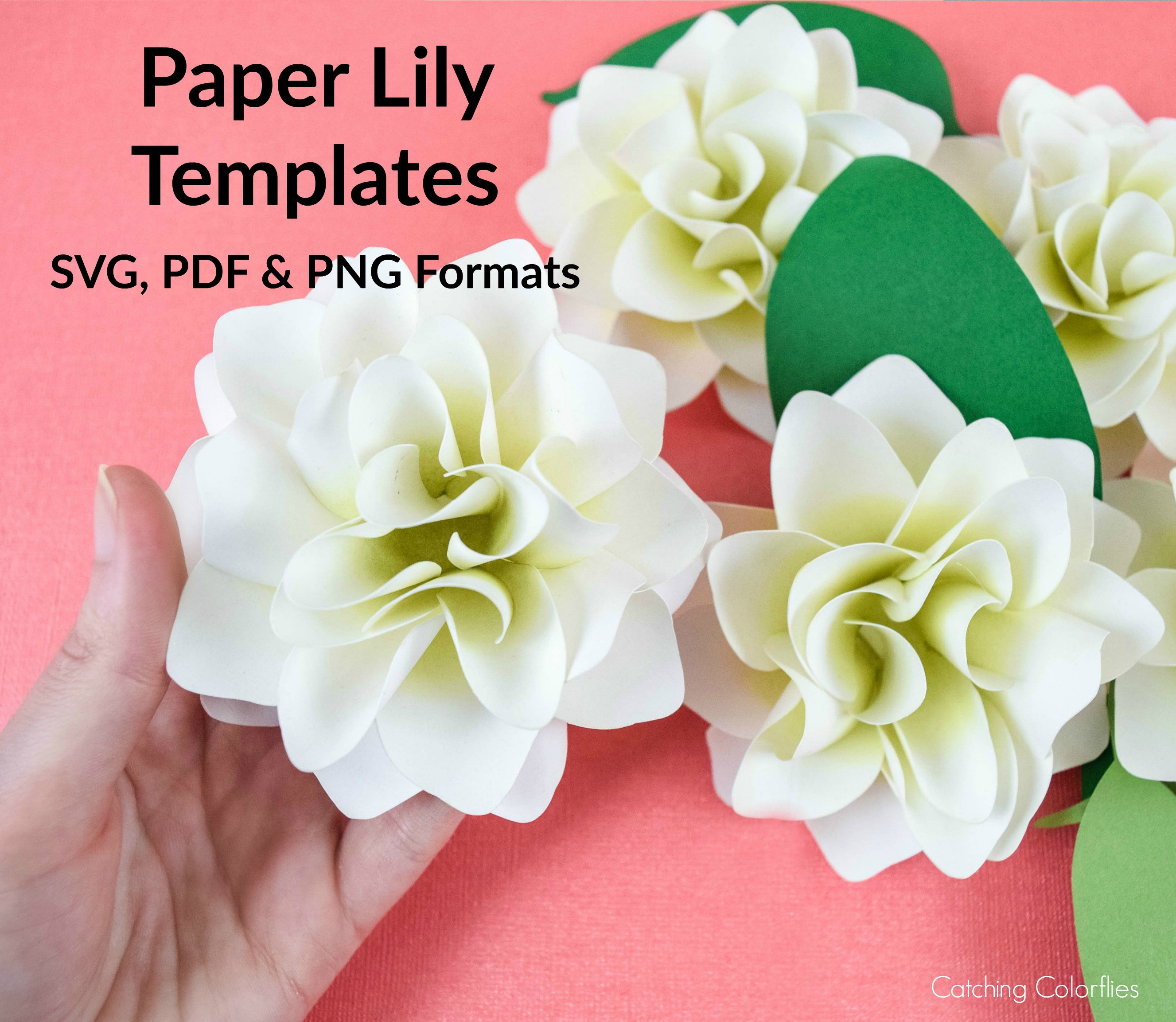 Lily Paper Flower Templates Paper Flowers SVG Cut Files and | Etsy