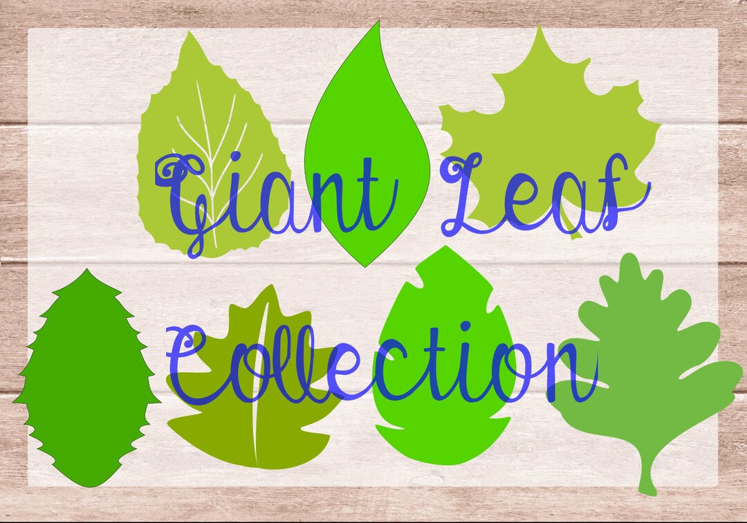 DIY Giant Paper Flower Leaf Templates, DIY Paper Flower Kit, SVG Large ...