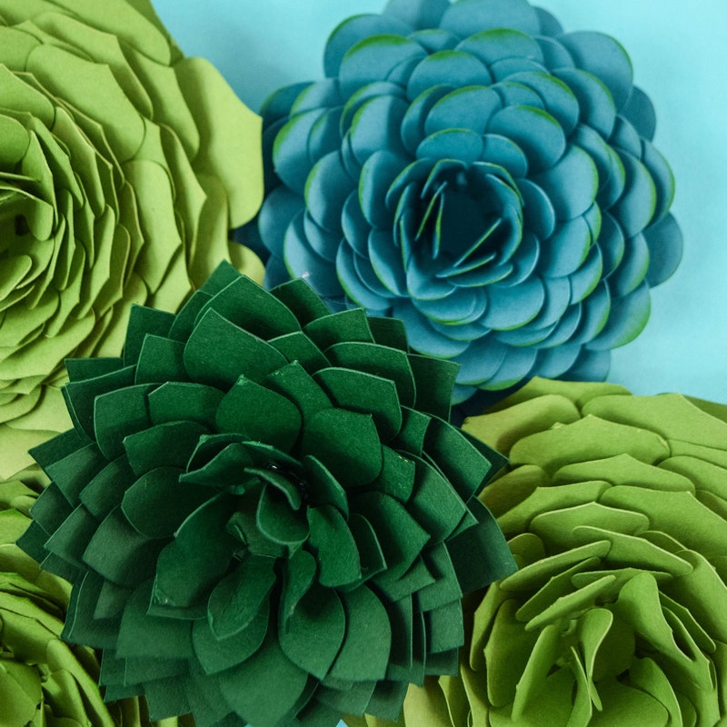 Paper Succulent Pattern - Etsy