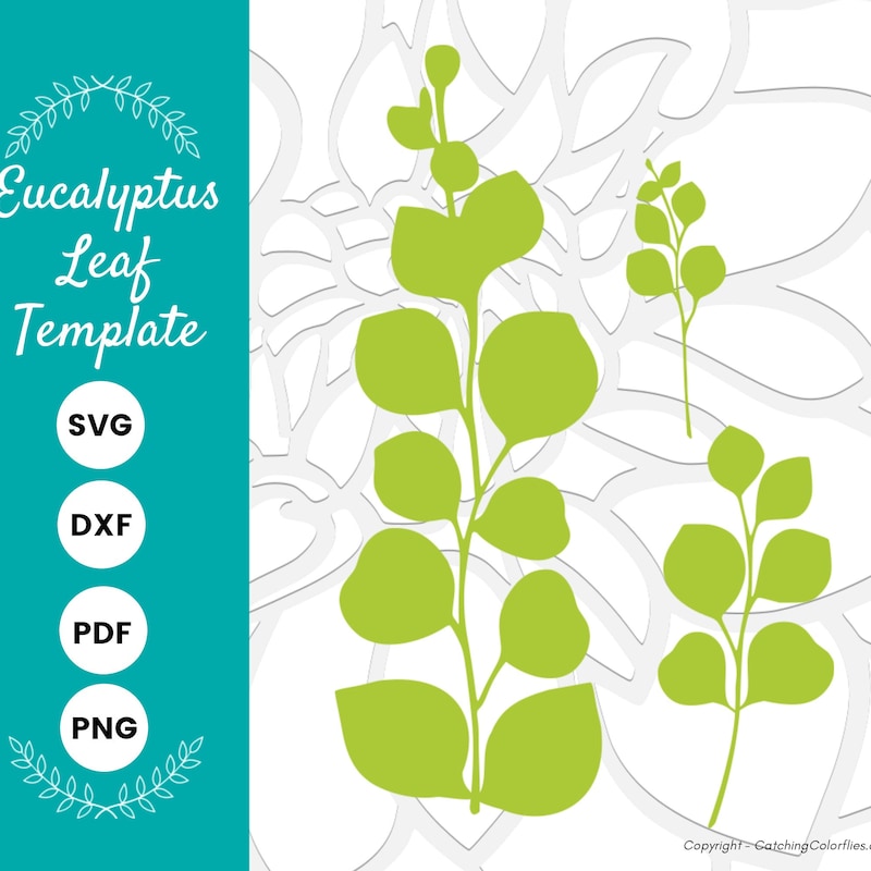 Eucalyptus Svg - Etsy